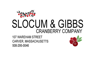 Wareham Youth Soccer Club > Home